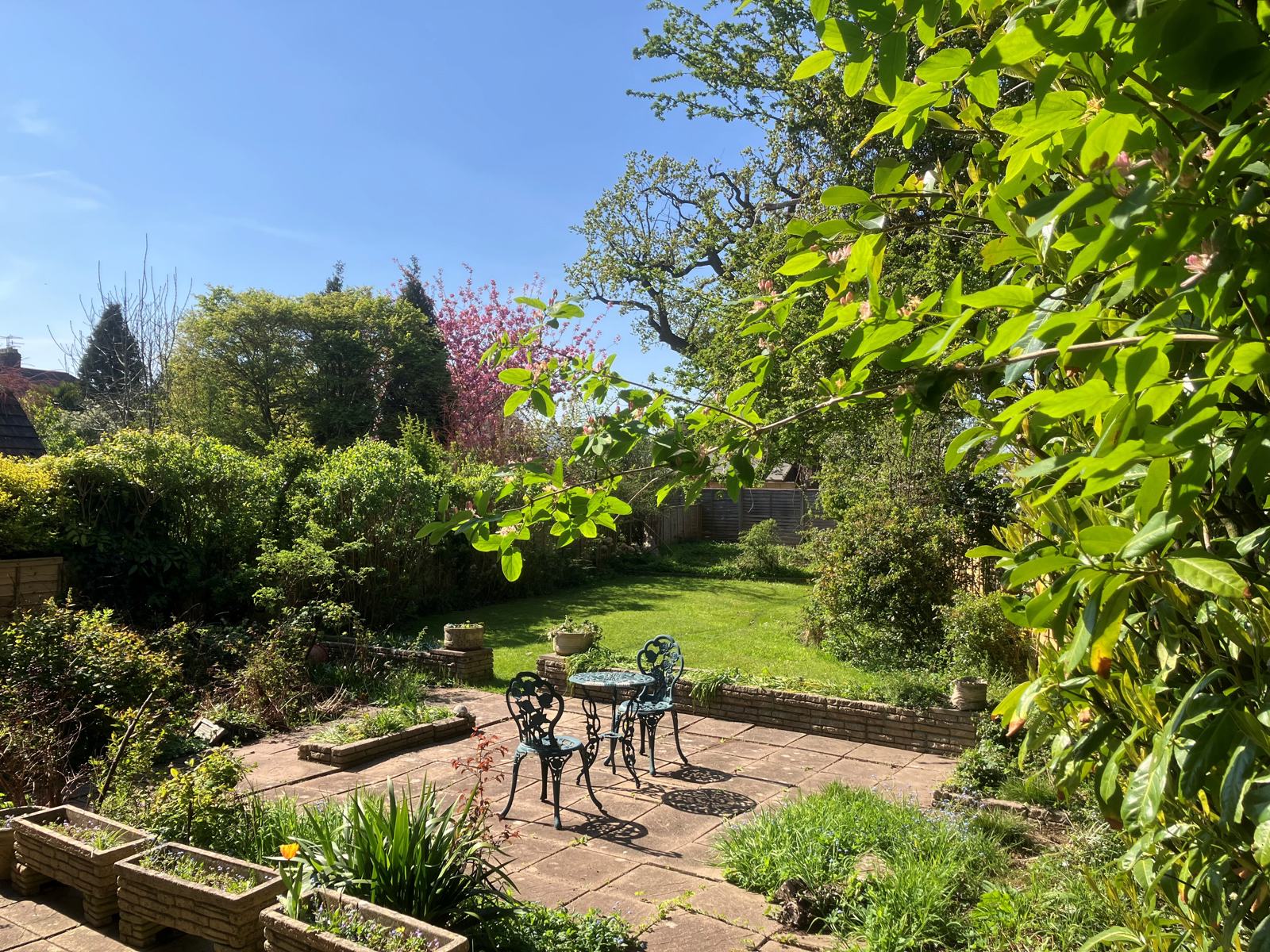 Reedley Road | Stoke Bishop » Richard Harding Estate Agents in Bristol